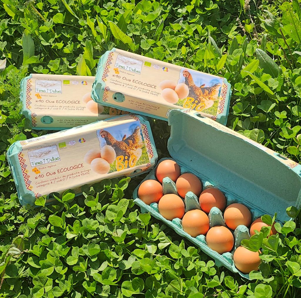 Oua Ecologice - Produslocal.ro